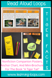 BACK TO SCHOOL READ ALOUD | A TIGER TAIL - Learning-Loops